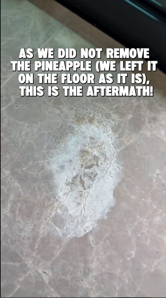 Don't Leave Pineapple On The Floor After Housewarming Ritual — It May ...