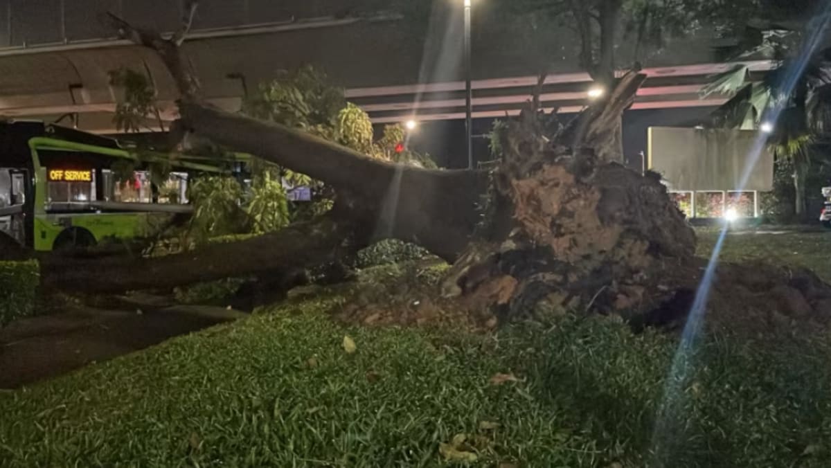 jelasBERITA: Apa itu badai Sumatera dan adakah ia punca SG dilanda ...