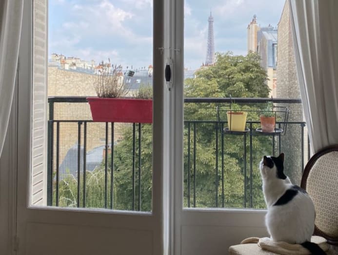 Sharon Au returns to Paris and reunites with her cat after 12 weeks in ...
