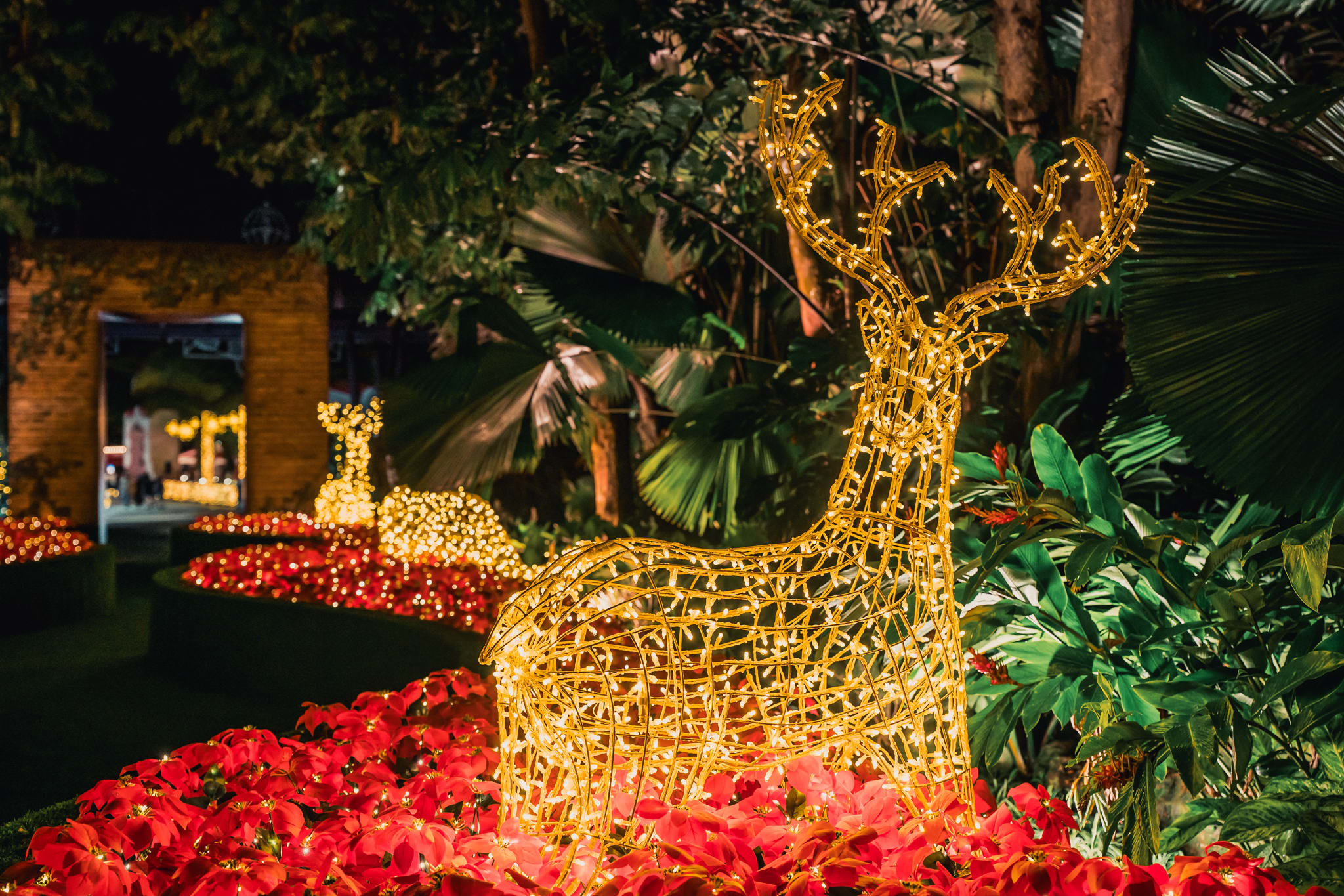 新加坡圣诞打卡攻略！9大主题乐园、嘉年华，一起坠入梦幻节庆季！ - vibes by 8world