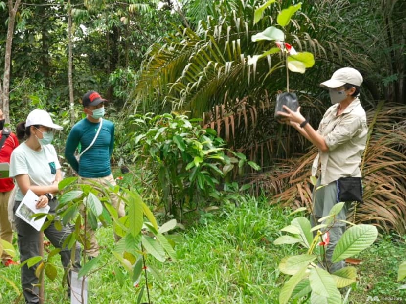 How to go green in your neighbourhood: Farming boot camp and other ...