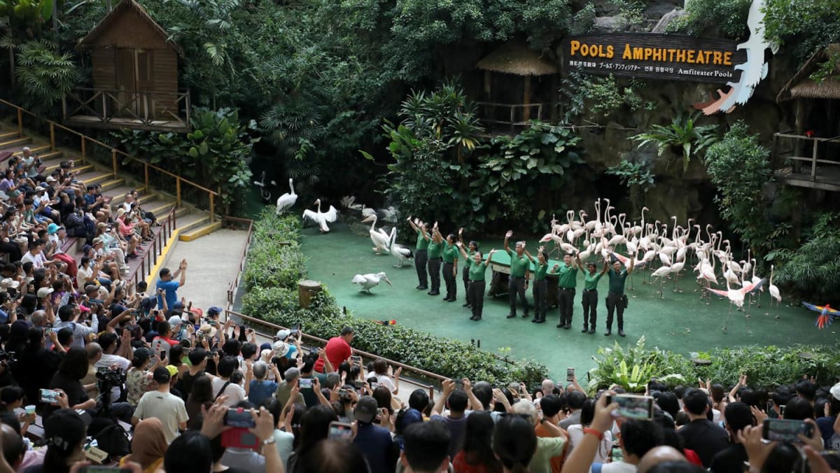 Jurong Bird Park shuts after 52 years, 2,600 people show up for final ...