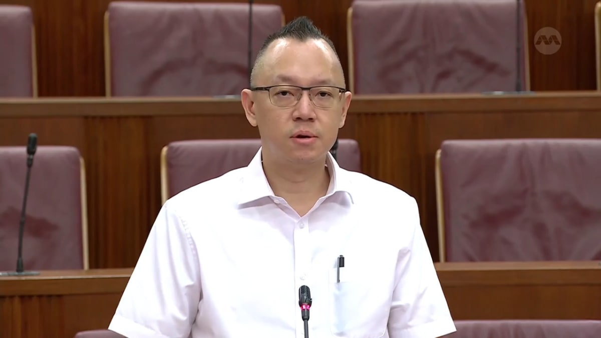 Committee of Supply 2025 debate, Day 2: Tan Wu Meng on whether ...