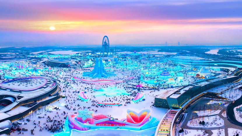 Shaping the future of tourism in the ice city of Harbin