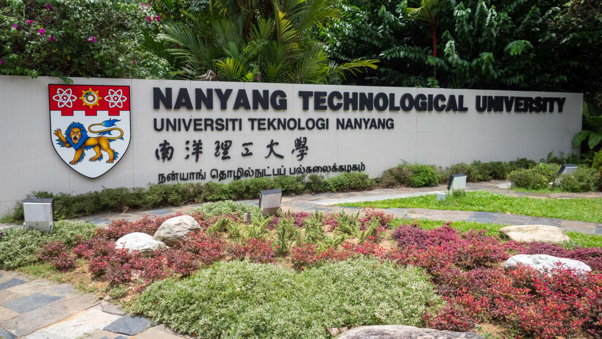 NTU Students' Union exco member 'counselled' after being accused of ...