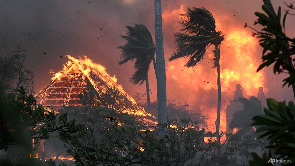 Commentary: Deadly Hawaii fires show climate change’s ugly reach - CNA