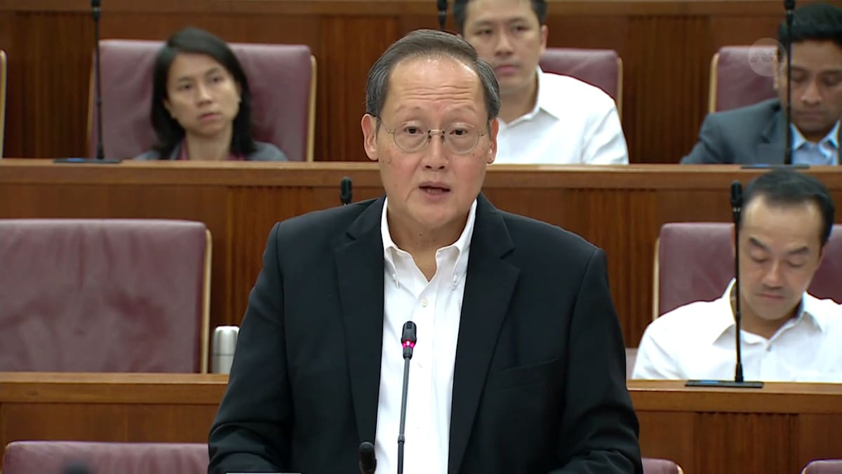 Tan See Leng on support for graduates in job market - CNA
