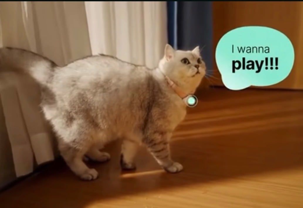 AI Pet Translator From China Claims To Understand Pets With Almost 94% ...