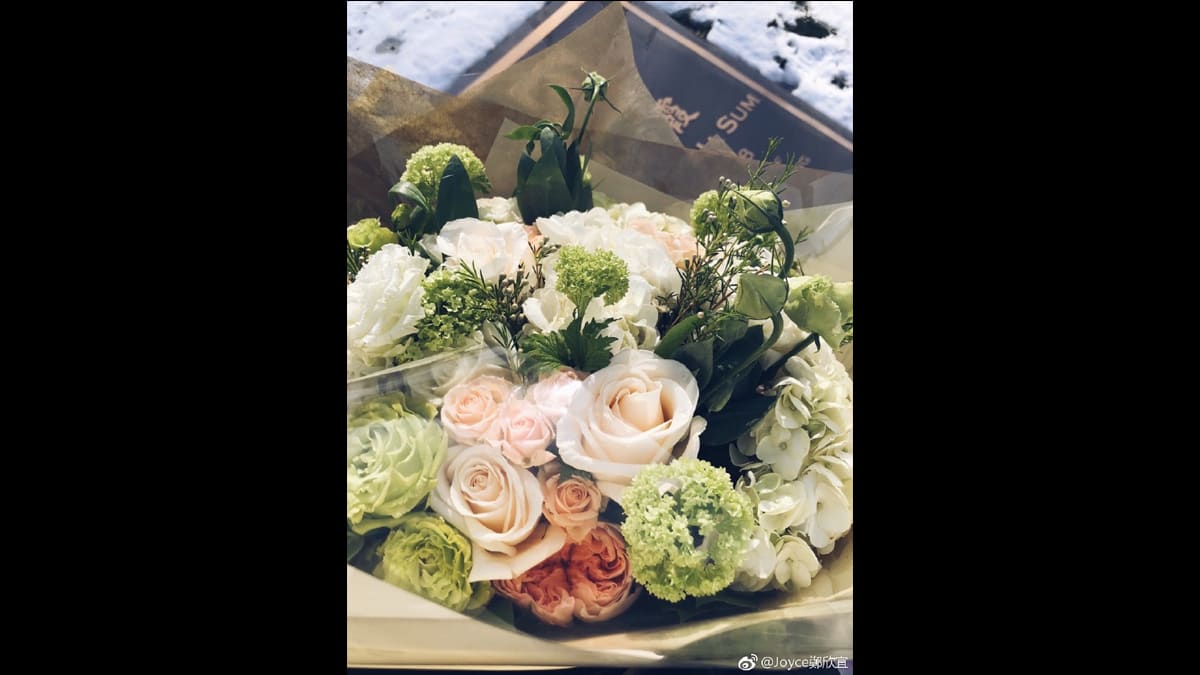 Joyce Cheng remembers late mother Lydia Shum - 8days