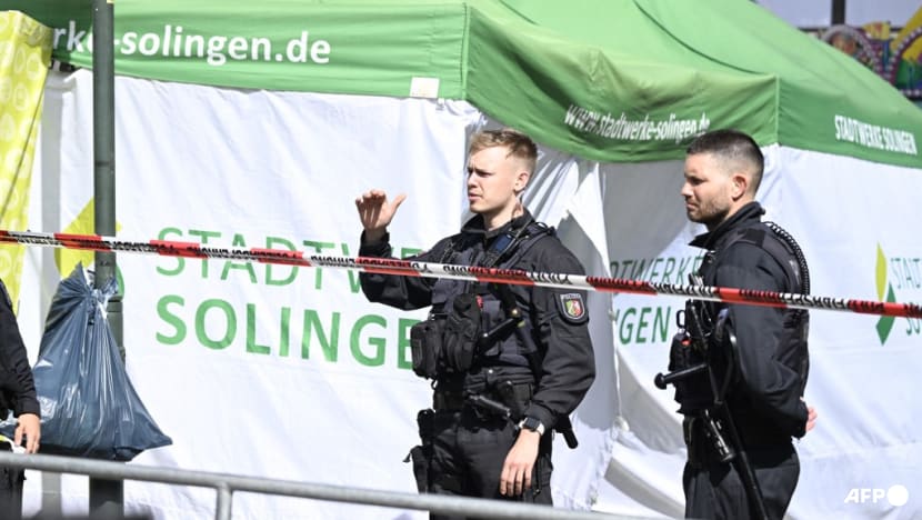 German police arrest suspected festival killer as Islamic State claims ...