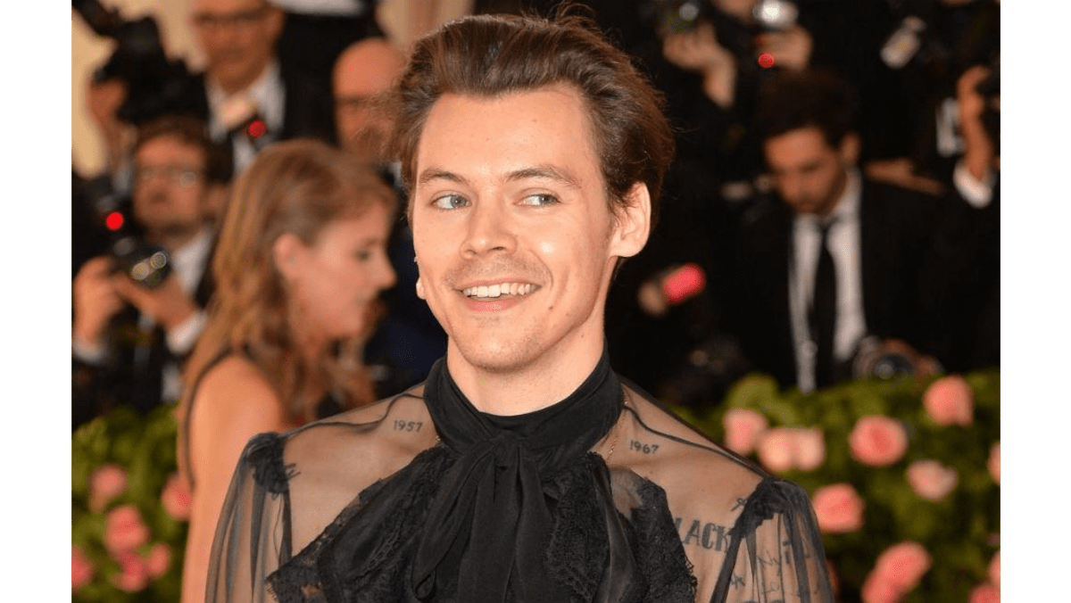Harry Styles babysat stranger's dog - 8days