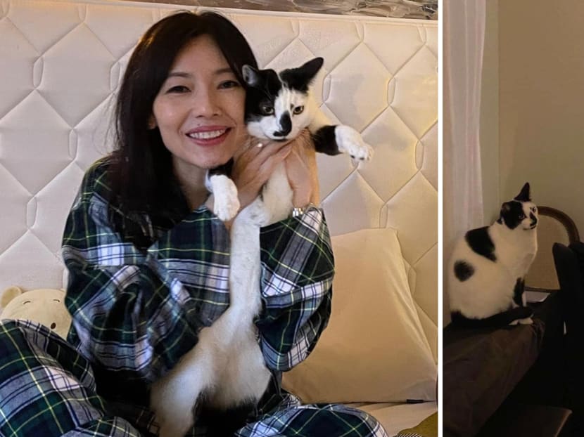 Sharon Au “Starting From Zero Again” After Paris Home Was Burgled, Her ...