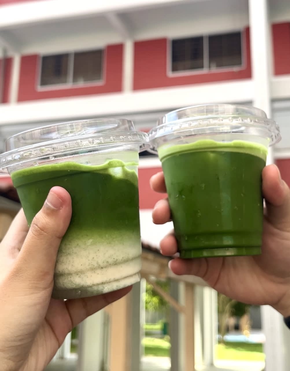 Home-Based Matcha Biz Opens Shop Once Monthly, Booking Slots Snapped Up ...
