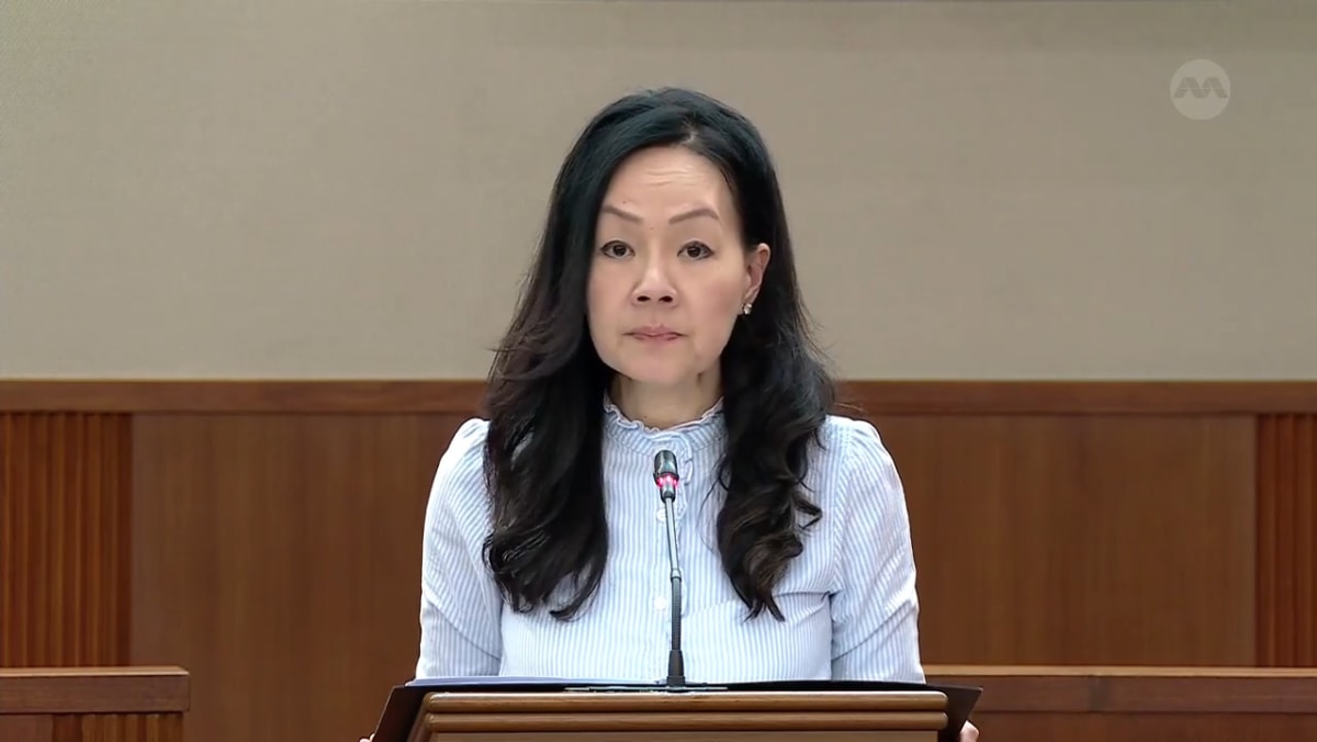 Committee of Supply 2025 debate, Day 2: Rachel Ong on Singapore’s ...
