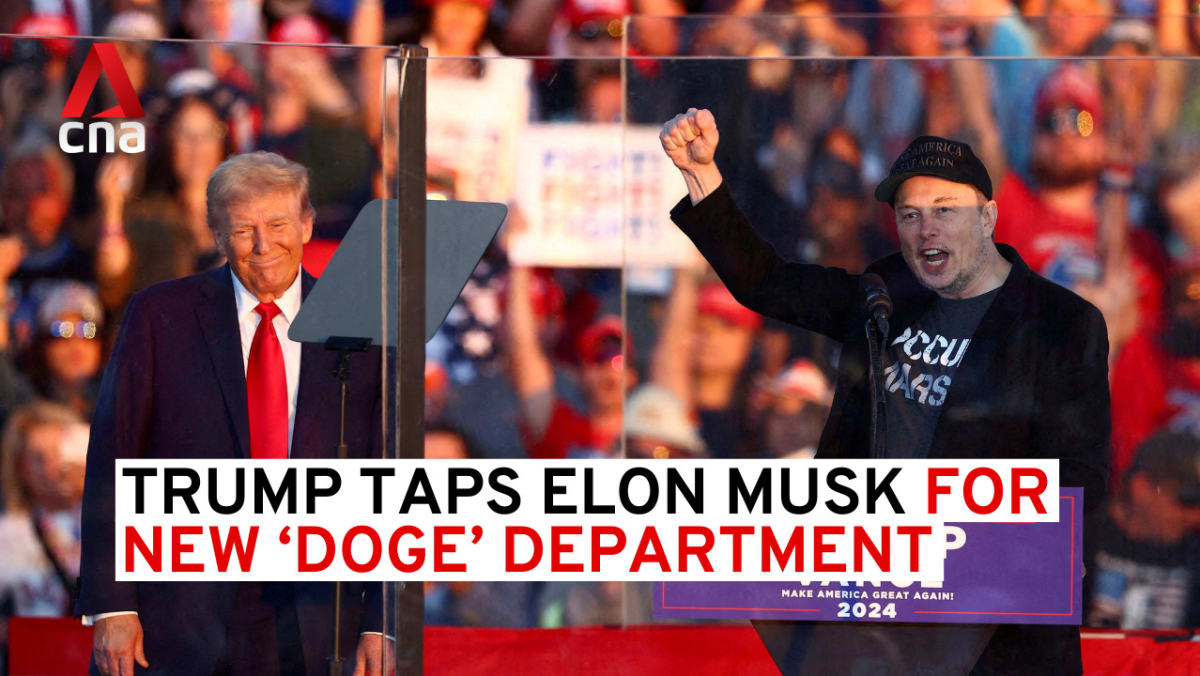 Trump appoints Elon Musk for new department to 'dismantle' government ...