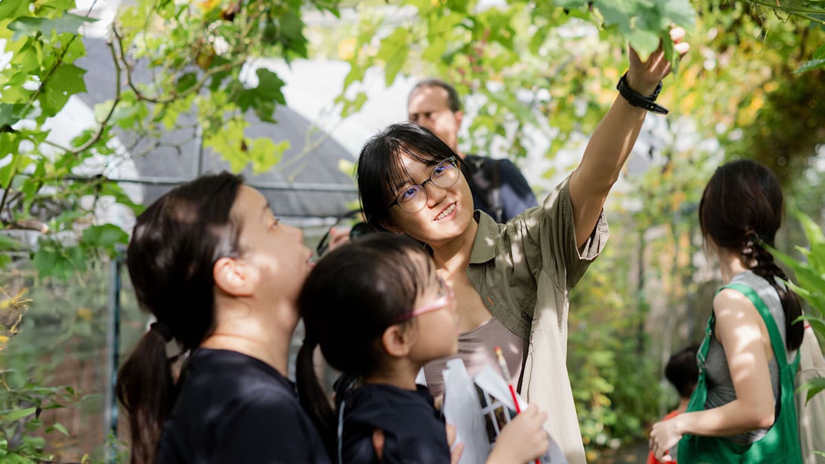 Discover the joys of eco-living at Go Green SG - CNA