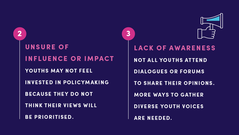 Youth panels, an initiative supported by the National Youth Council ...