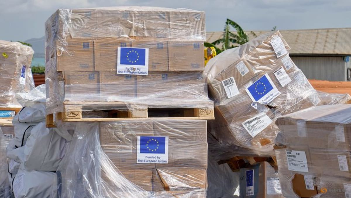 WHO chief heads to Congo as Ebola outbreak strains response - CNA