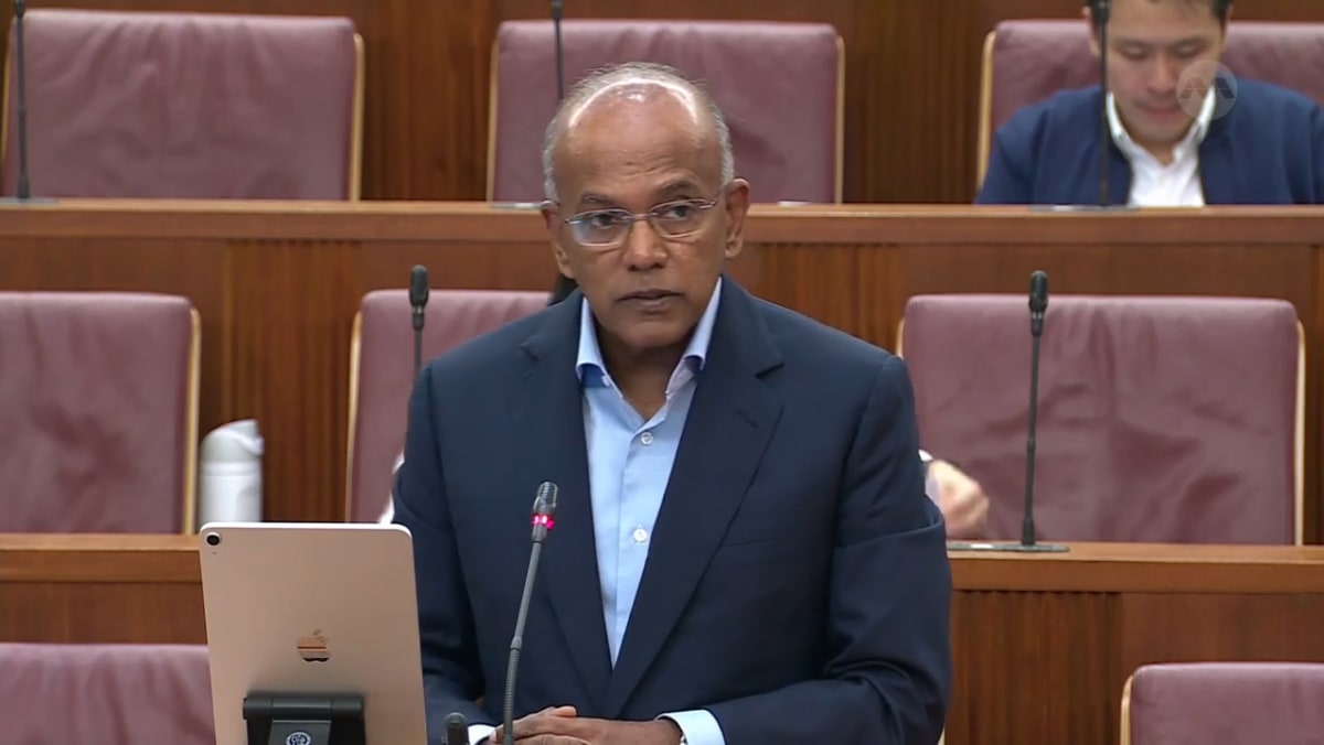 K Shanmugam on racial harmony and constitutional amendment bills - CNA