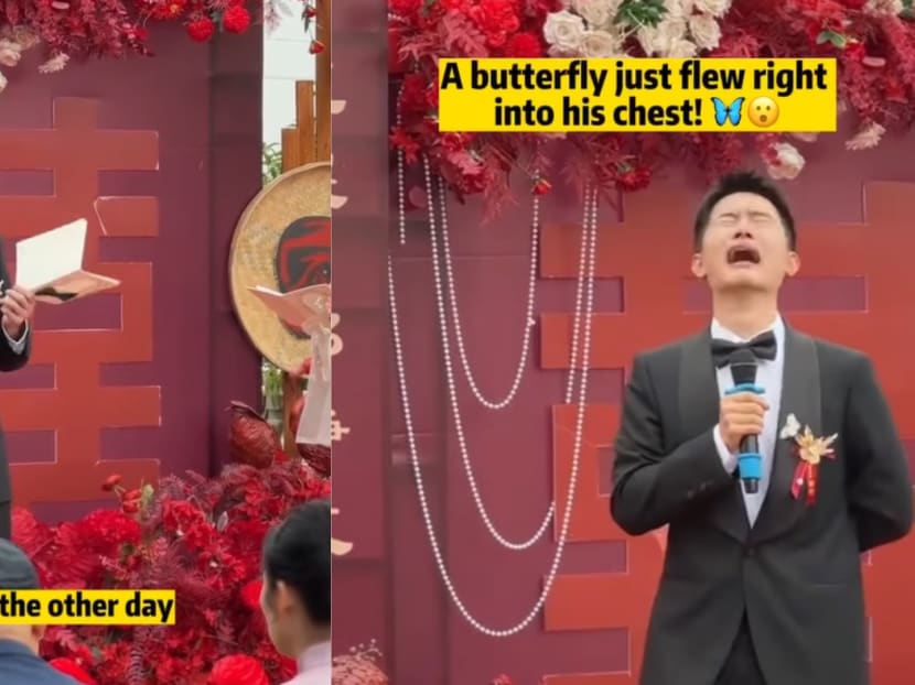 Chinese groom invites late grandma to attend his wedding as a butterfly ...