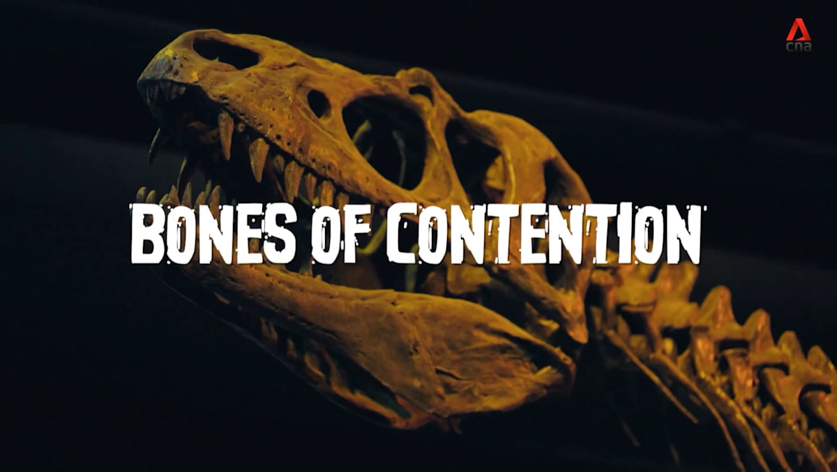 What's Coming Up - Bones of Contention - CNA