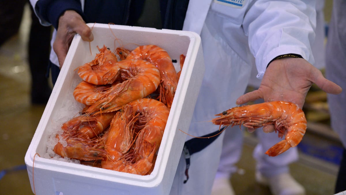 Amalan makan udang boleh pastikan sel kekal sihat - BERITA Mediacorp