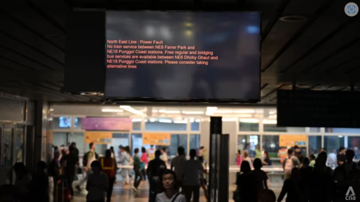 NEL தடங்கல்: மின்விநியோகக் கட்டமைப்பை வலுப்படுத்தத் திட்டங்கள் மறுஆய்வு ...