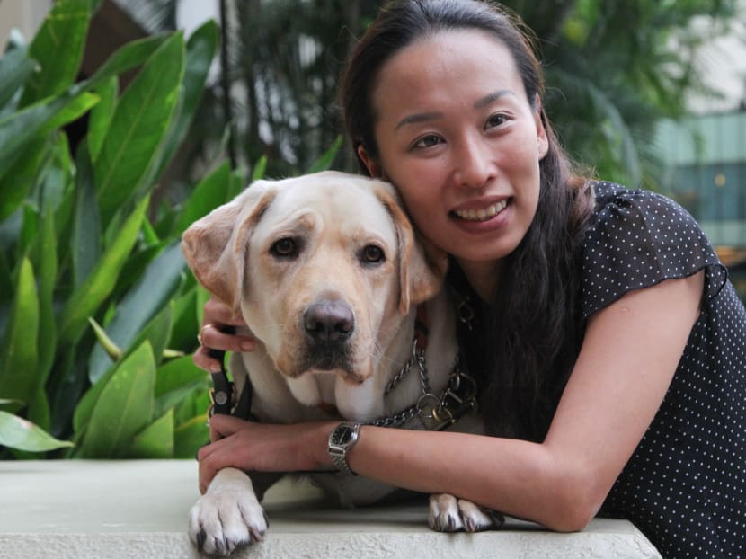 Cassandra Chiu resigns from Guide Dogs Association of the Blind - TODAY