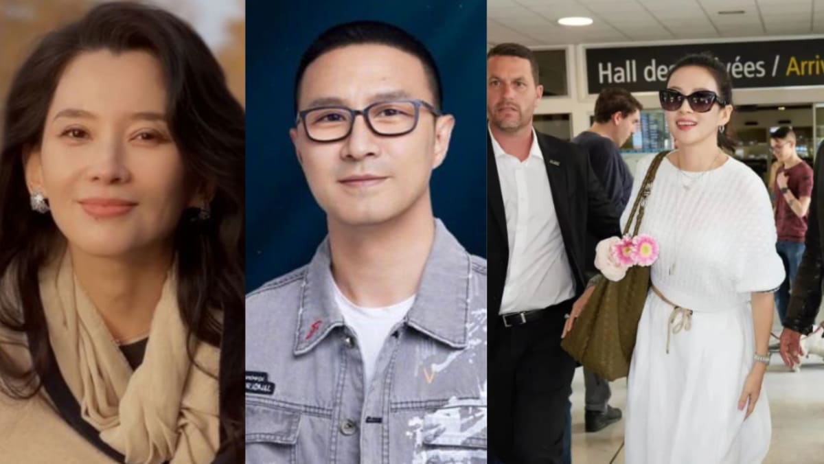 Zhang Ziyi, 45, All Smiles In Cannes After Ex-Husband Wang Feng, 52, Confirms Dating Influencer ...