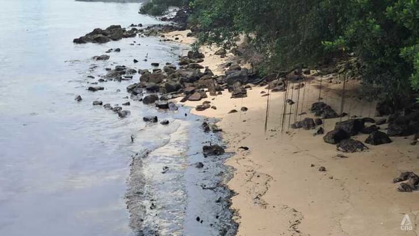 Oil spill reaches Sentosa, East Coast Park and other areas; some ...