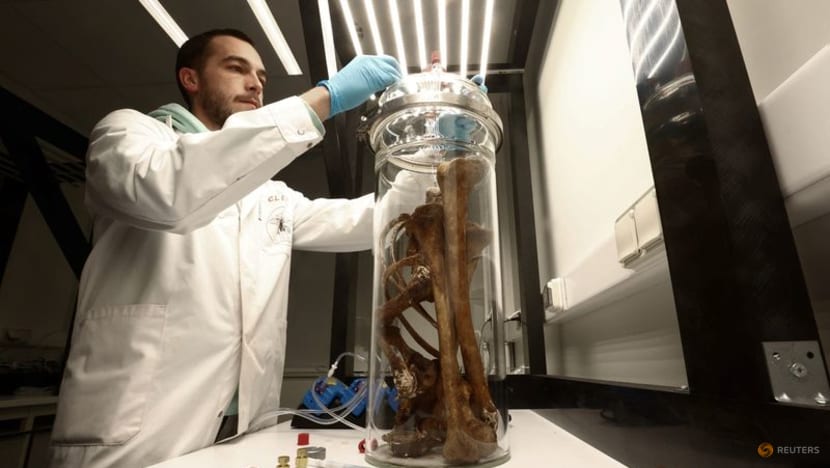 Scientist bottles smell of bones to help solve cold cases - CNA
