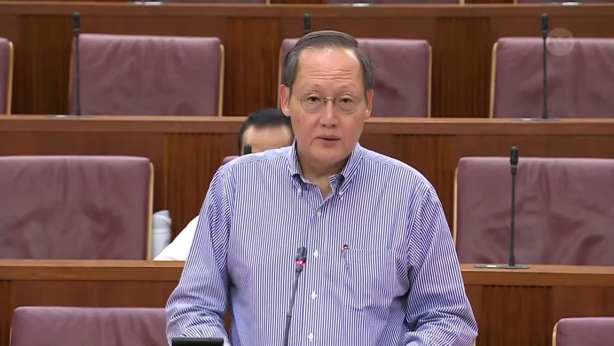 Tan See Leng on Overseas Networks & Expertise Pass (ONE Pass) - CNA