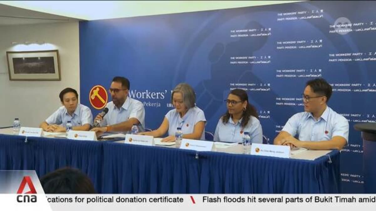 WP unveils a total of 14 new faces for GE2025 - CNA