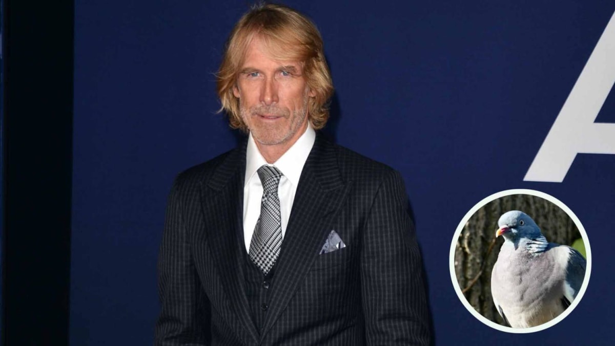Michael Bay Charged With Killing A Pigeon On The Set Of 2019 Netflix ...