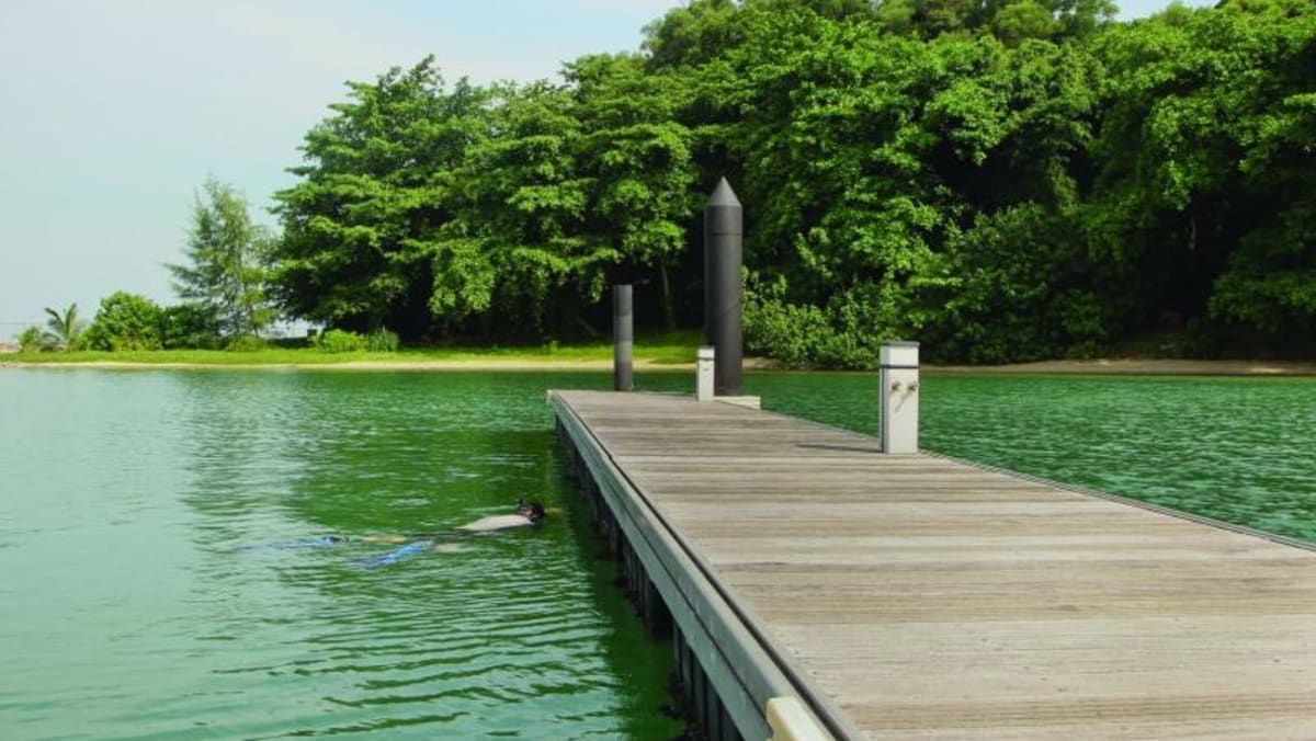 St John’s Island and Pulau Hantu declared asbestos-free, to reopen in ...