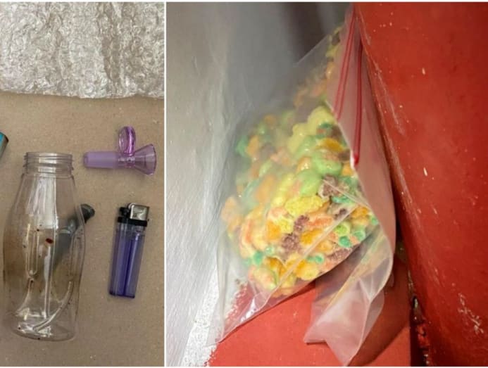 More young people under 20 in Singapore caught taking cannabis; CNB to ...
