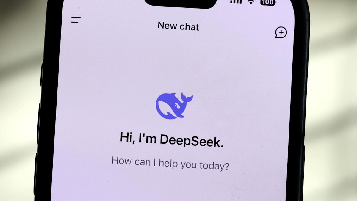 一文看懂！火爆全网的DeepSeek究竟有何来头？ - 8world