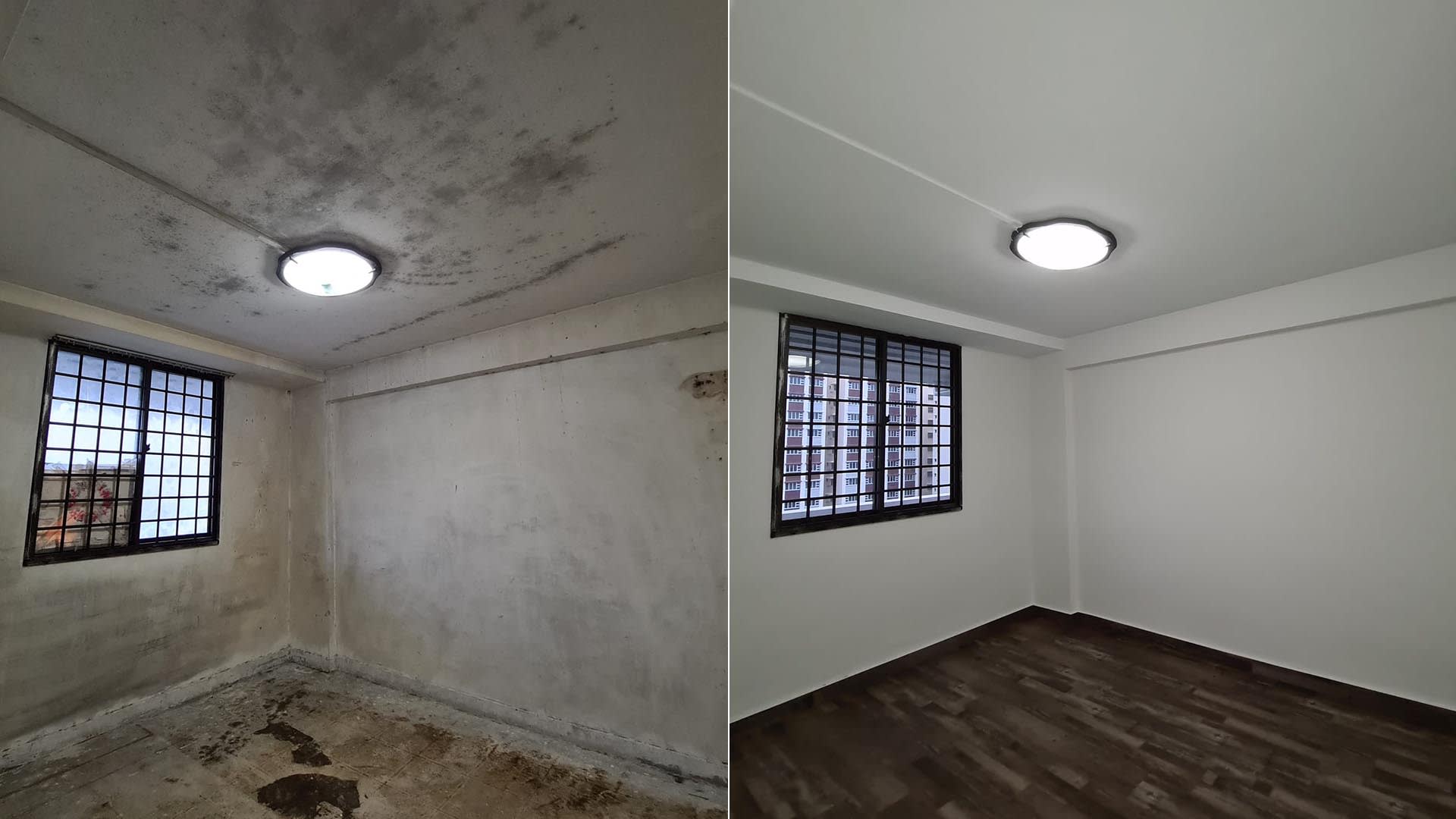 Mould Problem At Home? Here's What You Can Do To Remove Mould & How To ...