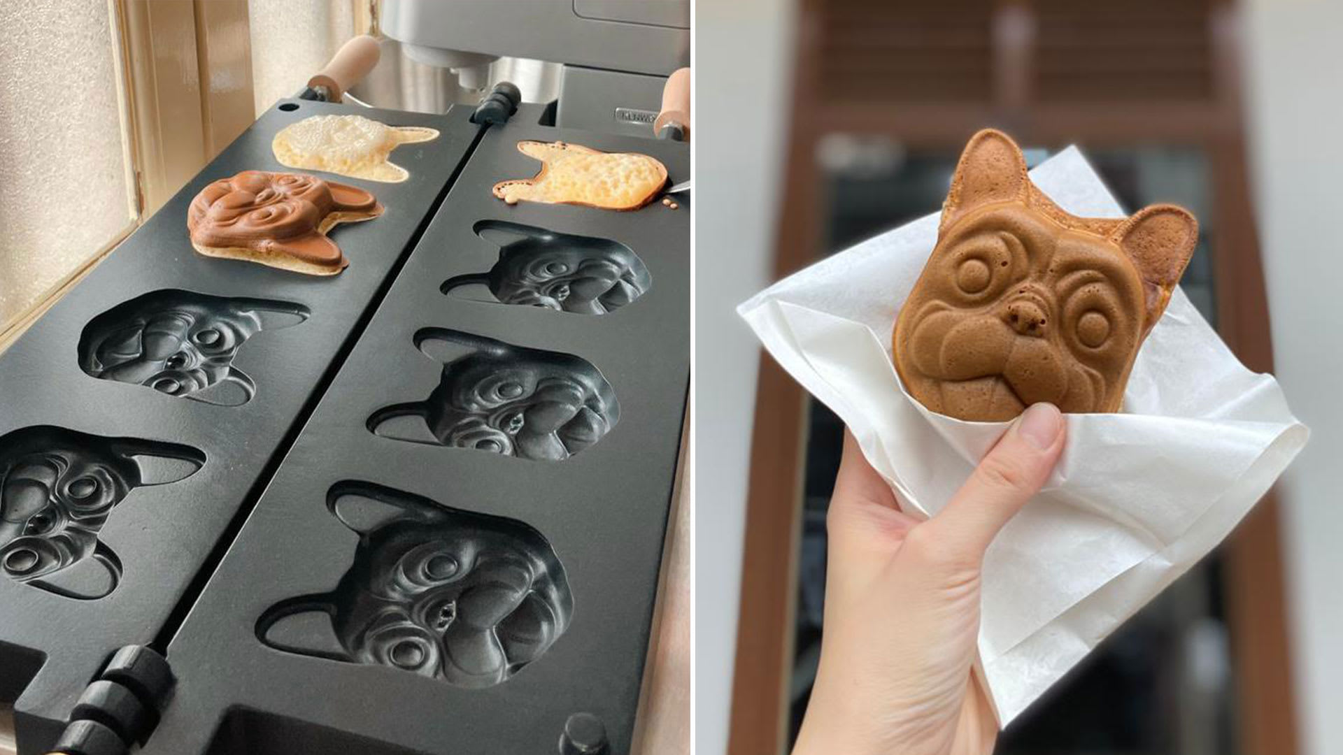 New Little India Dog Cafe Has Pooch Cuddling & French Bulldog-Shaped ...