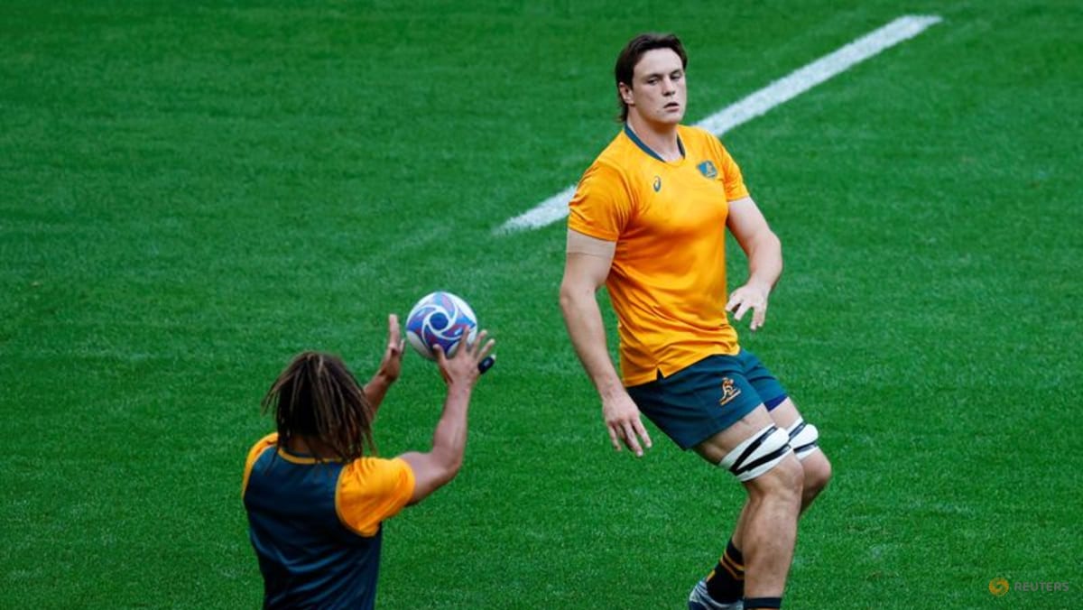 Wallabies call up quartet from Australia XV squad ahead of Scotland ...