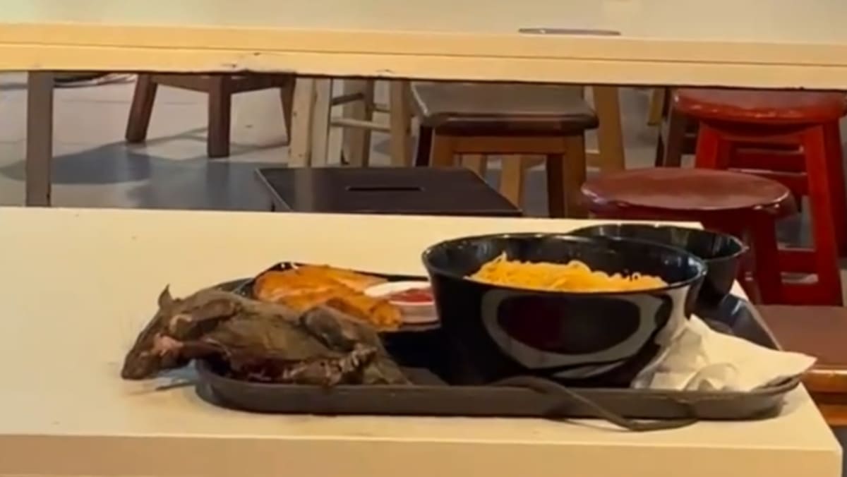 Twitching rat on food tray: SFA and NEA find rodent infestation ...