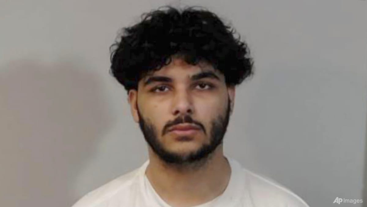 Teen admits to US$245m Bitcoin theft charges, agrees to testify against ...