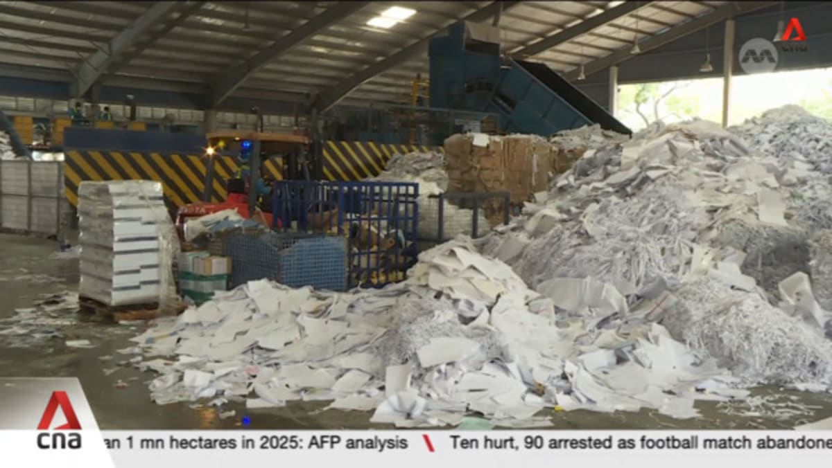Paper recycling firms scaling down operations as materials fetching ...