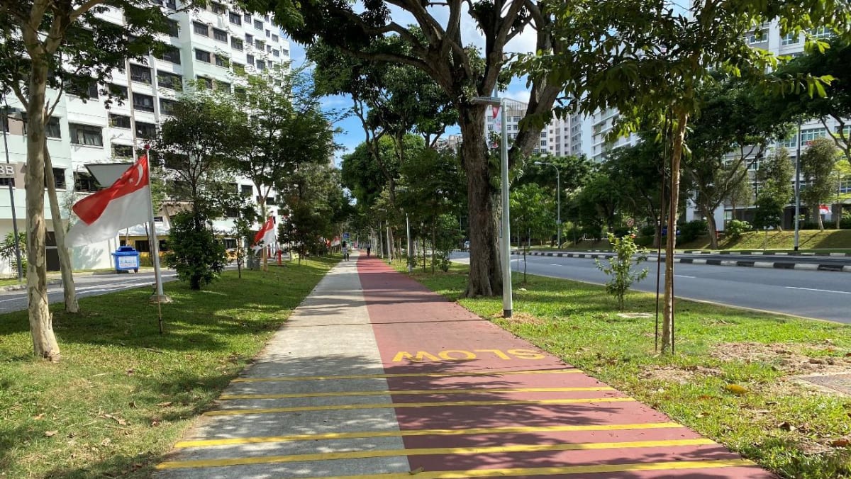 New cycling paths launched in Tampines, linking residents to key ...