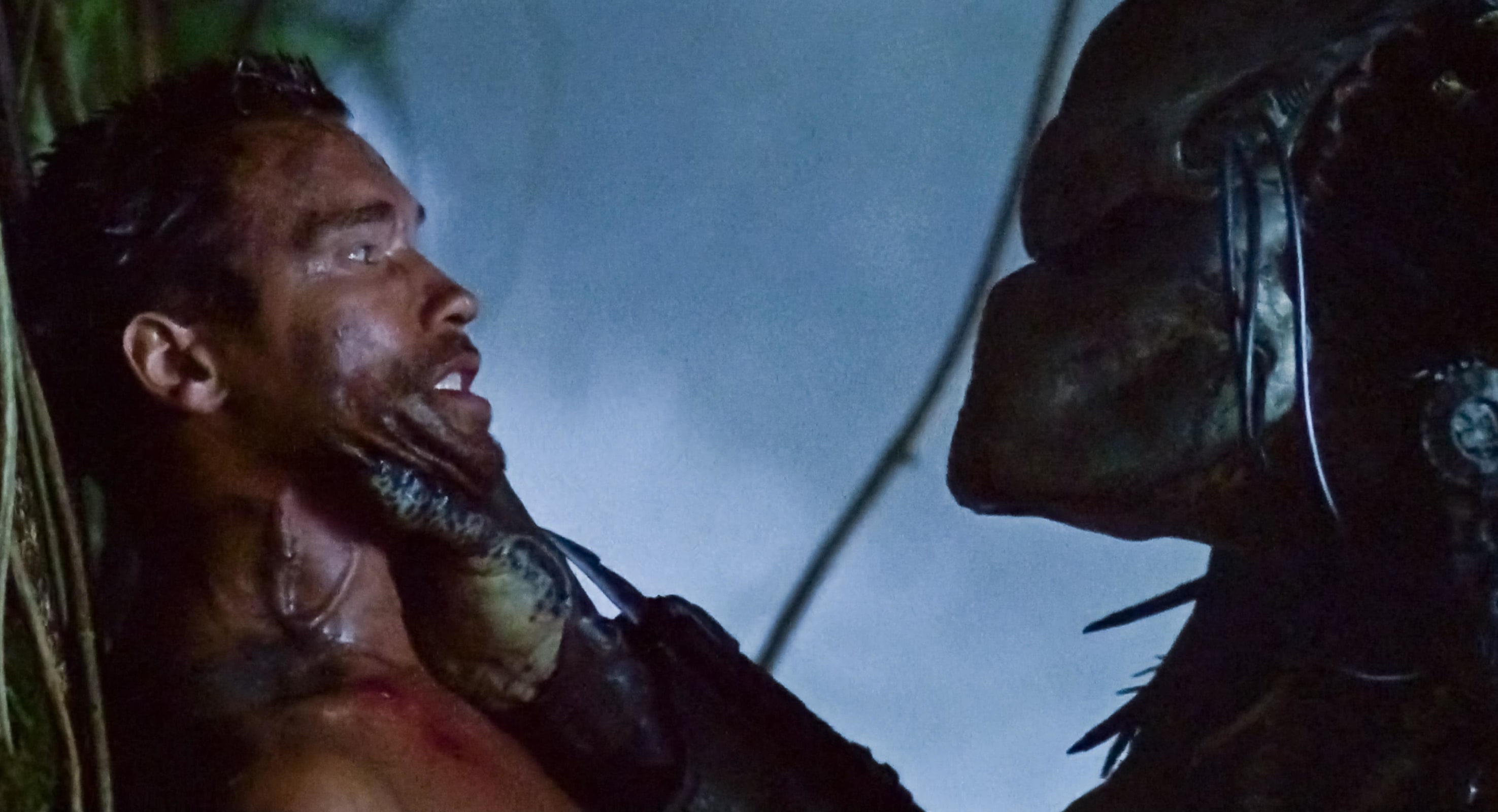 Ranking The Predator Movies — Including The Prequel, Prey — From The ...