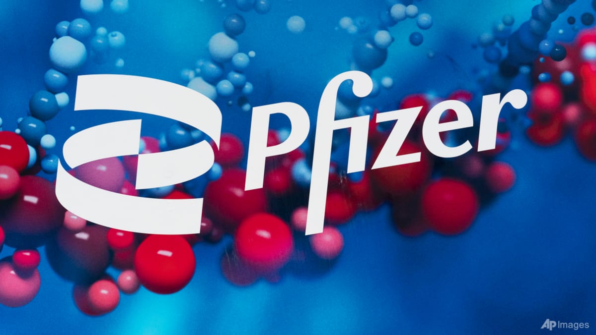 Pfizer rides Paxlovid sales growth to better than expected third quarter - CNA