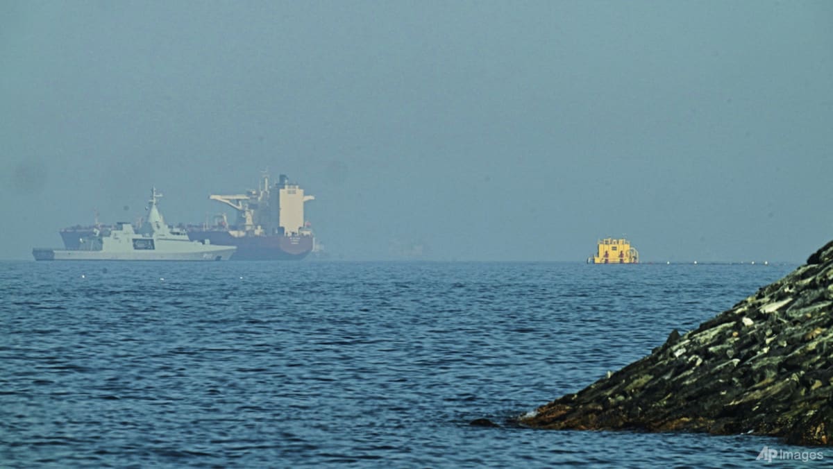 US targets Chinese oil terminal in new Iran sanctions - CNA