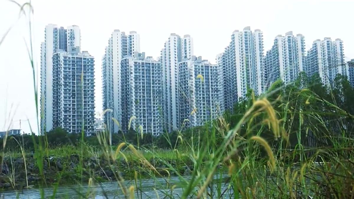 What will it take to revive Forest City, Malaysia’s US$100 billion ...
