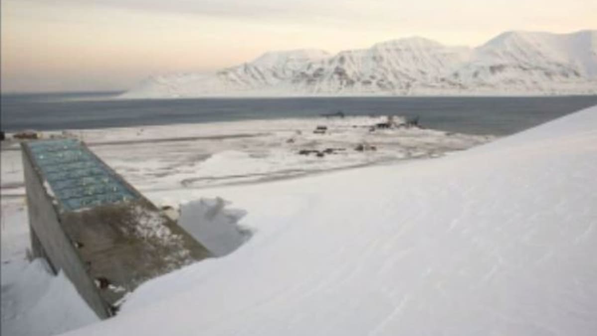 'Frozen Ark' collects animal DNA in face of mass extinction - TODAY