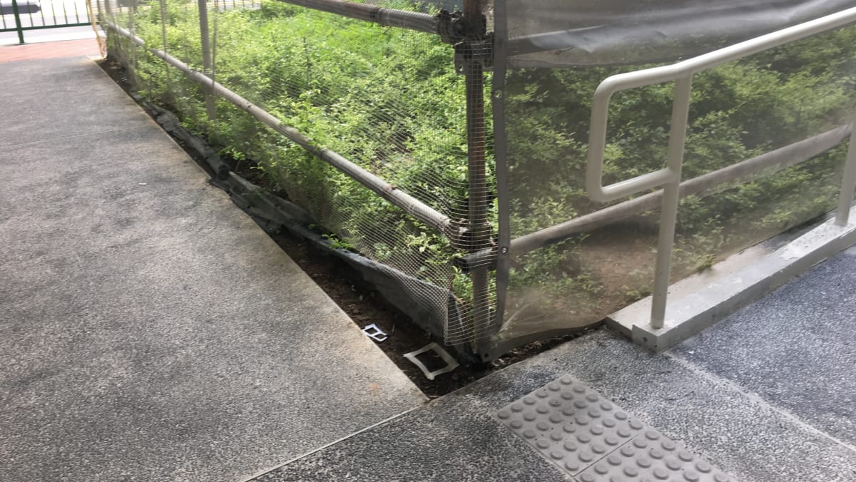 Bullet found outside State Courts - TODAY